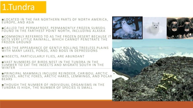 Terrestrial Biomes.ppt
