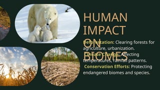 Terrestrial Biomes - Environmental Science.pptx