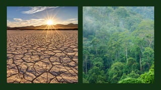 Terrestrial Biomes - Environmental Science.pptx