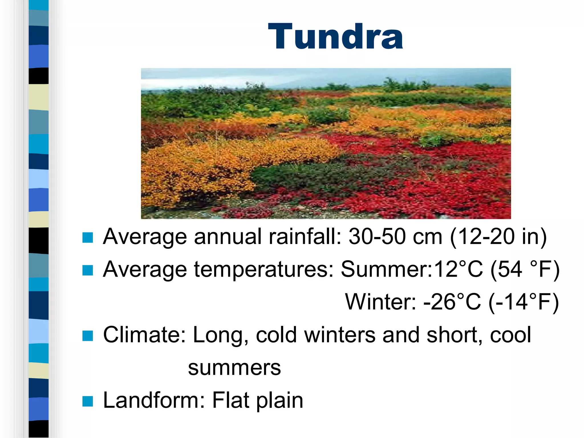 Terrestrial Biomes | PPT