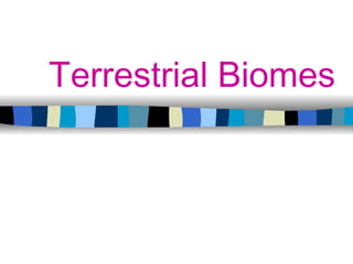 Terrestrial Biomes | PPT