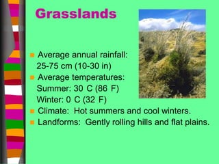 Terrestrial Biomes | PPT