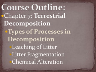 Terrestrial decomposition | PPTX | Chemistry | Science