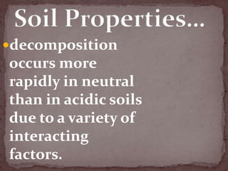 Terrestrial decomposition | PPTX | Chemistry | Science