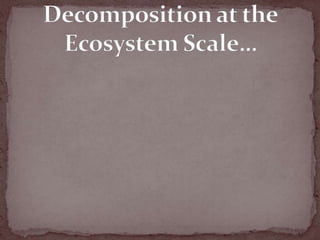 Terrestrial decomposition | PPTX | Chemistry | Science