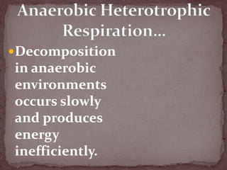 Terrestrial decomposition | PPTX | Chemistry | Science