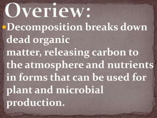 Terrestrial decomposition | PPTX | Chemistry | Science