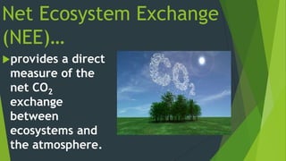 Terrestrial ecology | PPTX
