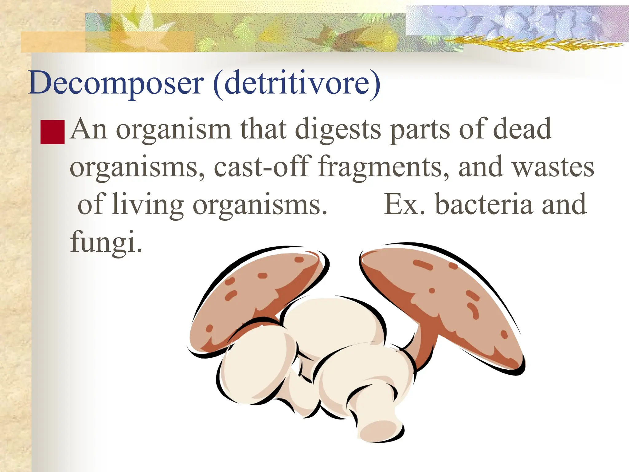 Terrestrial Ecology NOTES for a sustainability course | PPT