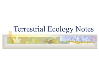 Terrestrial Ecology Notes1 | PPT