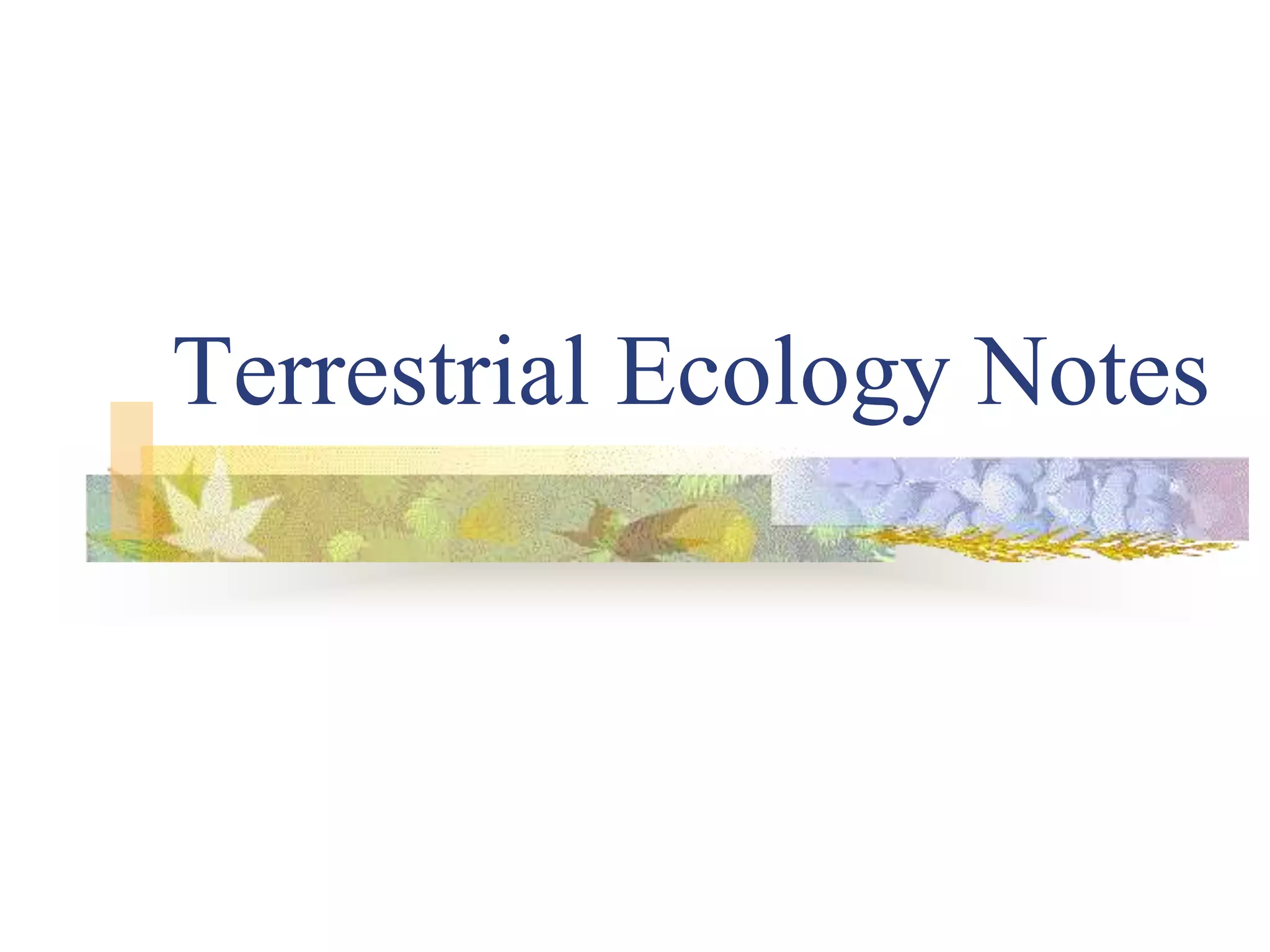 Terrestrial Ecology Wesselman.ppt