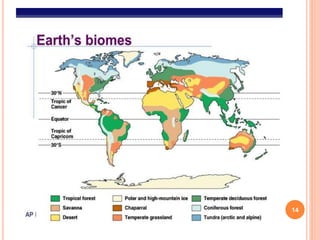Terrestrial ecosystem | PPTX