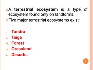 Terrestrial Ecosystems
