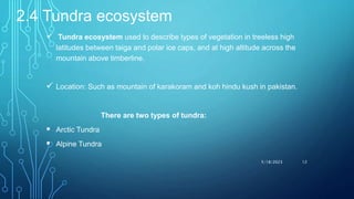 Terrestrial Ecosystem in Pakistan PPT.pptx