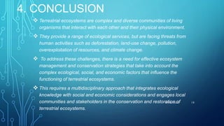 Terrestrial Ecosystem in Pakistan PPT.pptx