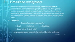 Terrestrial Ecosystem in Pakistan PPT.pptx