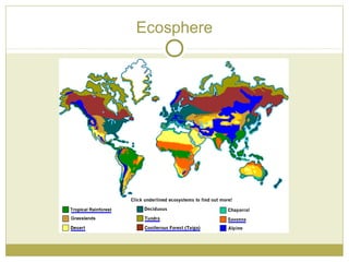 Terrestrial Ecosystems | PPT