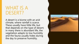 Terrestrial ecosystems by Miriam | PPT