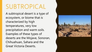 Terrestrial ecosystems by Miriam | PPT