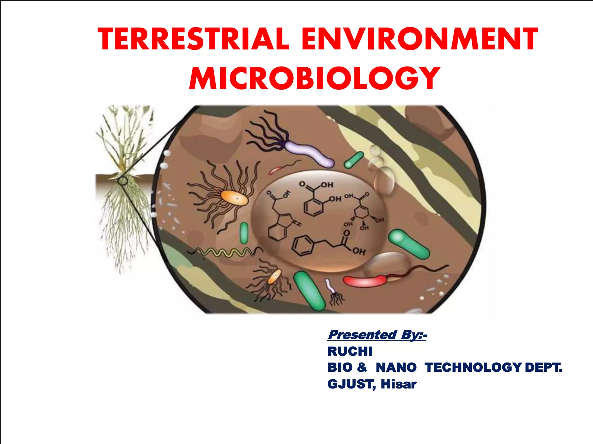 Terrestrial Environment Microbiology/ Soil Microbiology | PDF