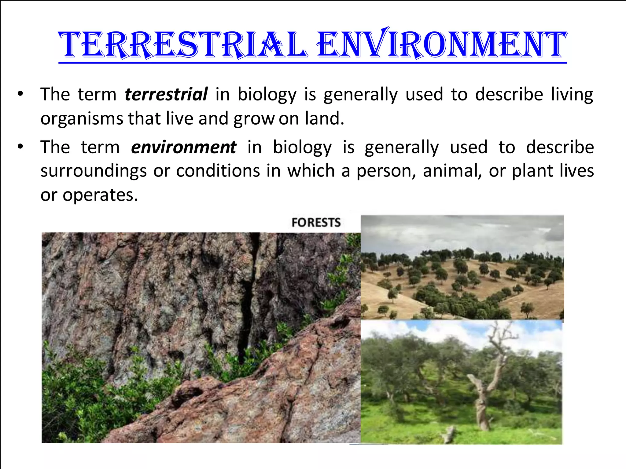 Terrestrial Environment Microbiology/ Soil Microbiology | PDF