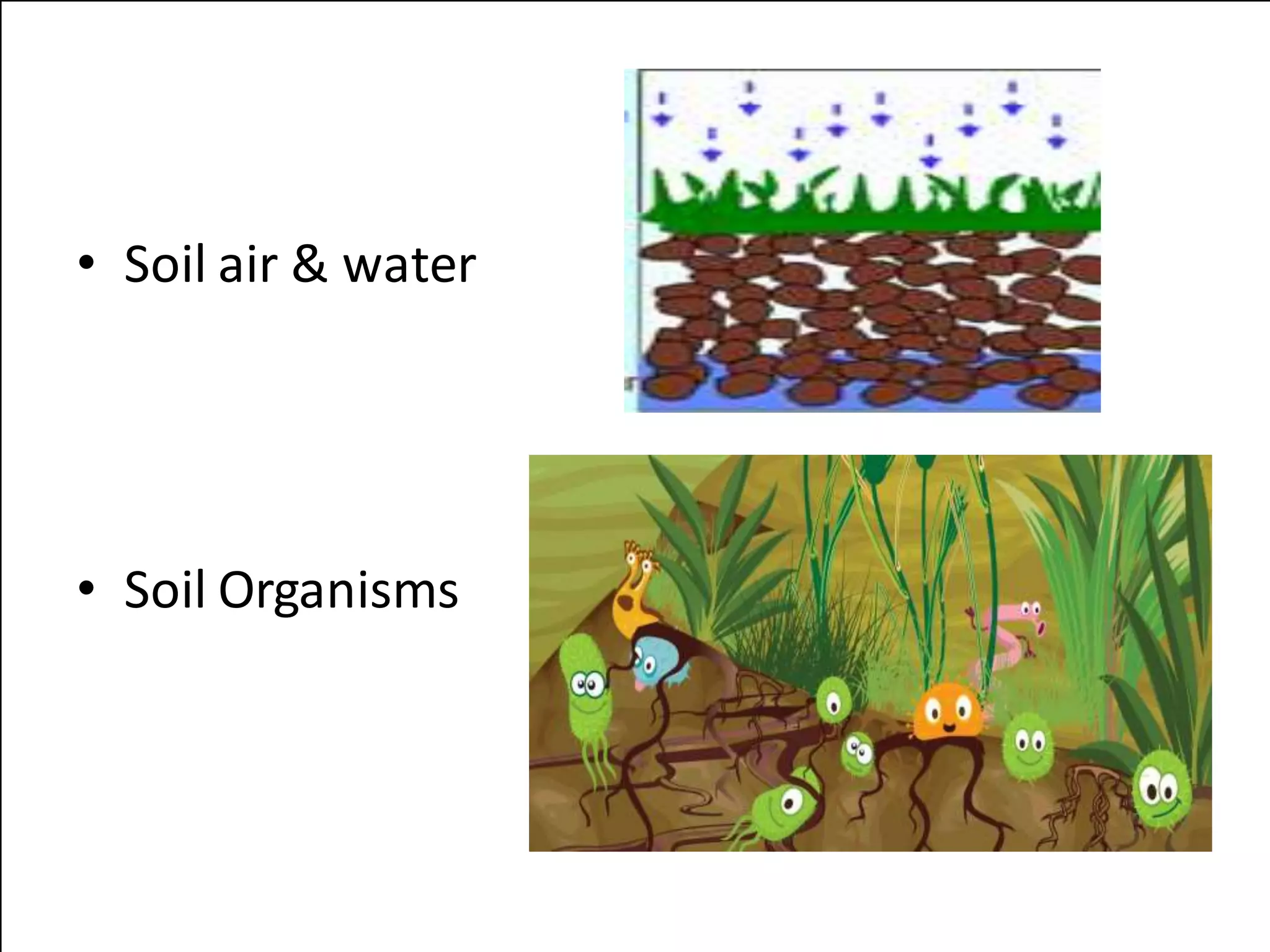 Terrestrial Environment Microbiology/ Soil Microbiology | PDF