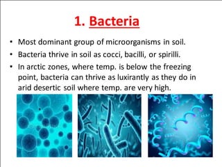 Terrestrial Environment Microbiology/ Soil Microbiology | PPT