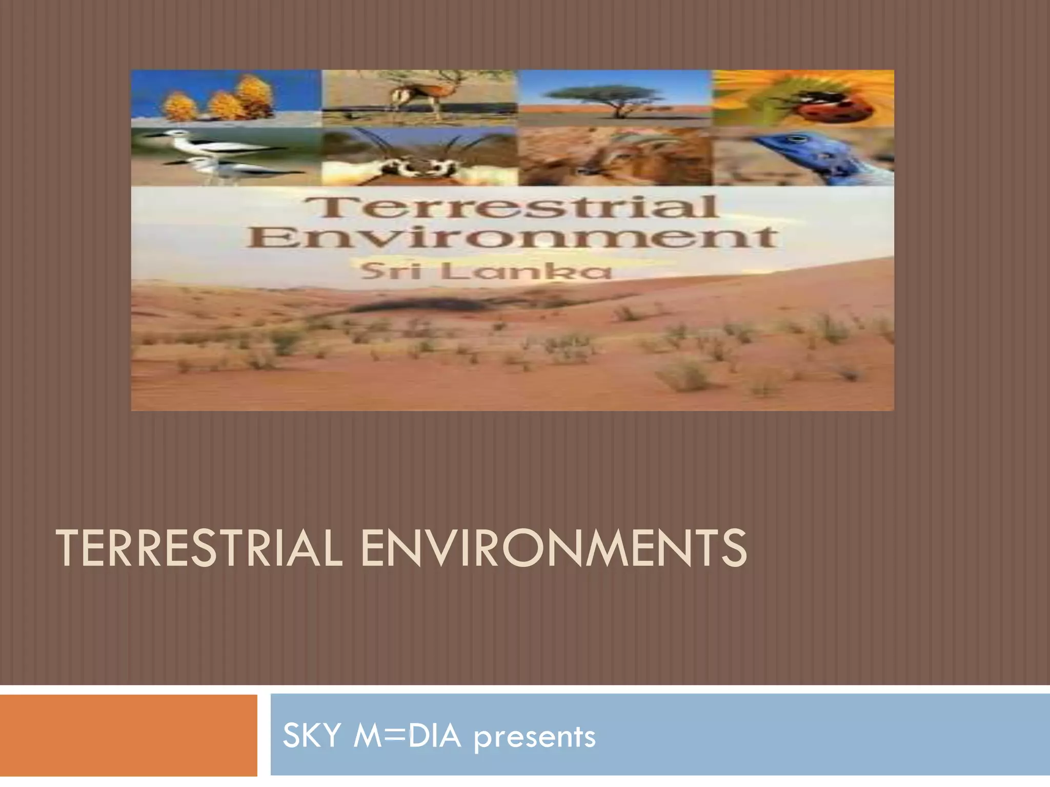 Terrestrial environments | PPTX