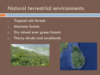 Terrestrial environments | PPTX
