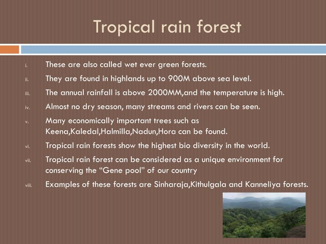 Terrestrial environments | PPTX