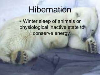 class 6 THE LIVING ORGANISMS — CHARACTERISTICS AND HABITATS | PPTX