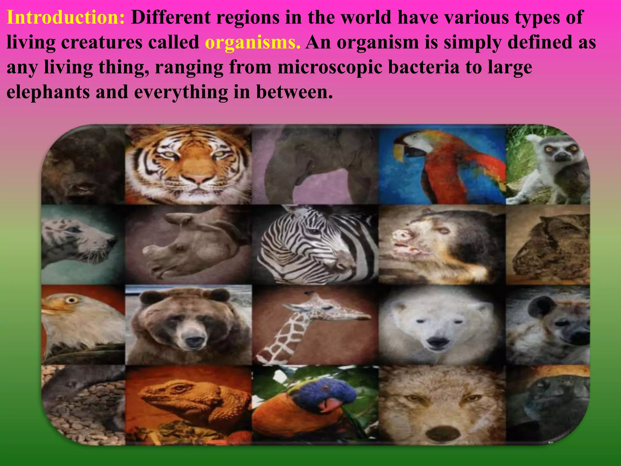 THE LIVING ORGANISMS — CHARACTERISTICS AND HABITATS TERRESTRIAL HABITAT ...