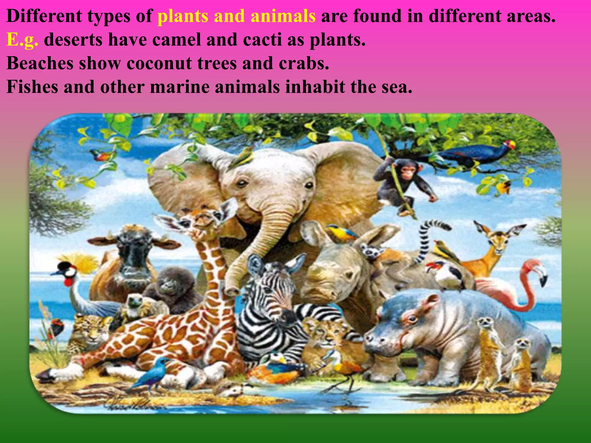 THE LIVING ORGANISMS — CHARACTERISTICS AND HABITATS TERRESTRIAL HABITAT ...