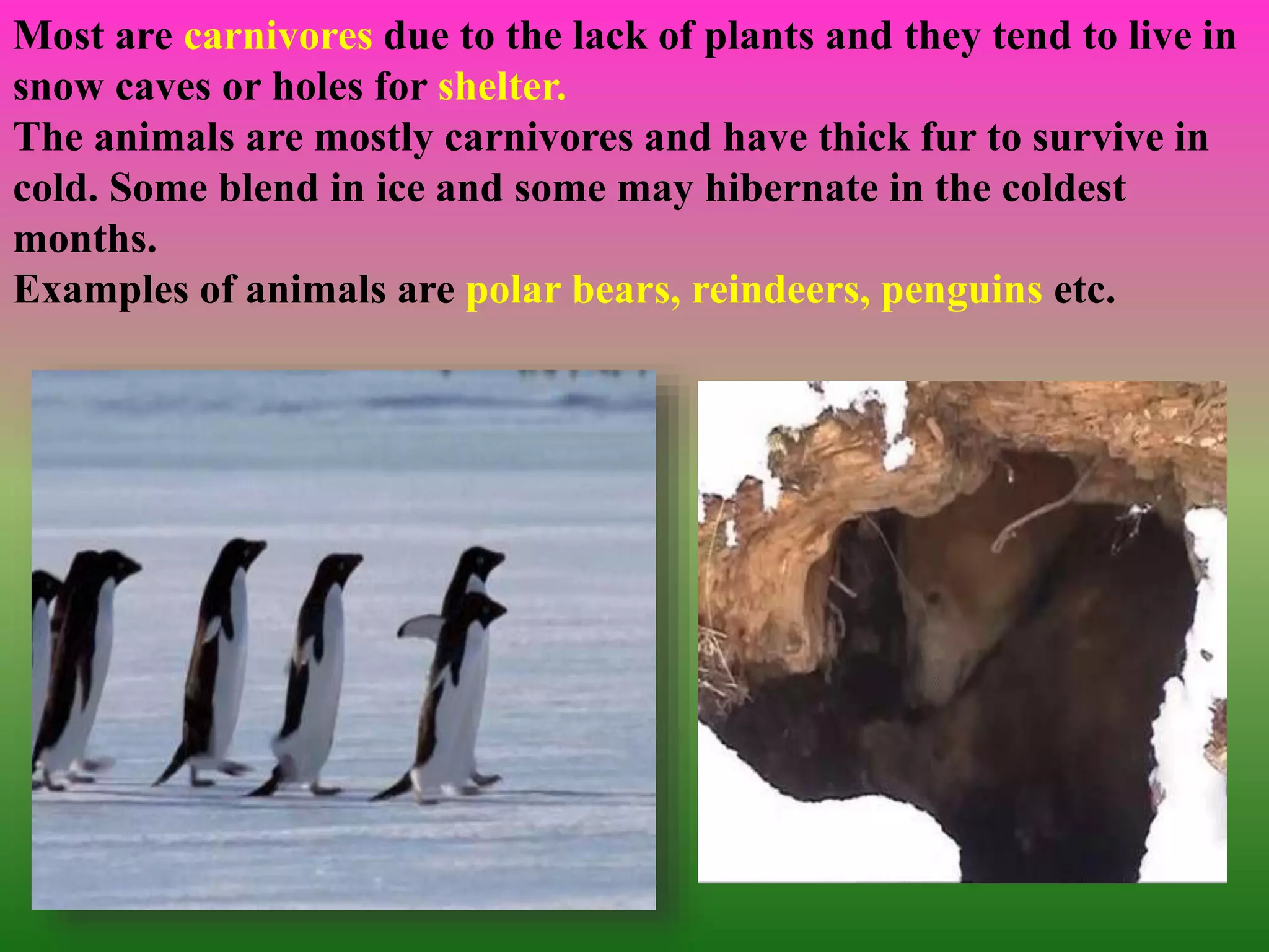 THE LIVING ORGANISMS — CHARACTERISTICS AND HABITATS TERRESTRIAL HABITAT ...