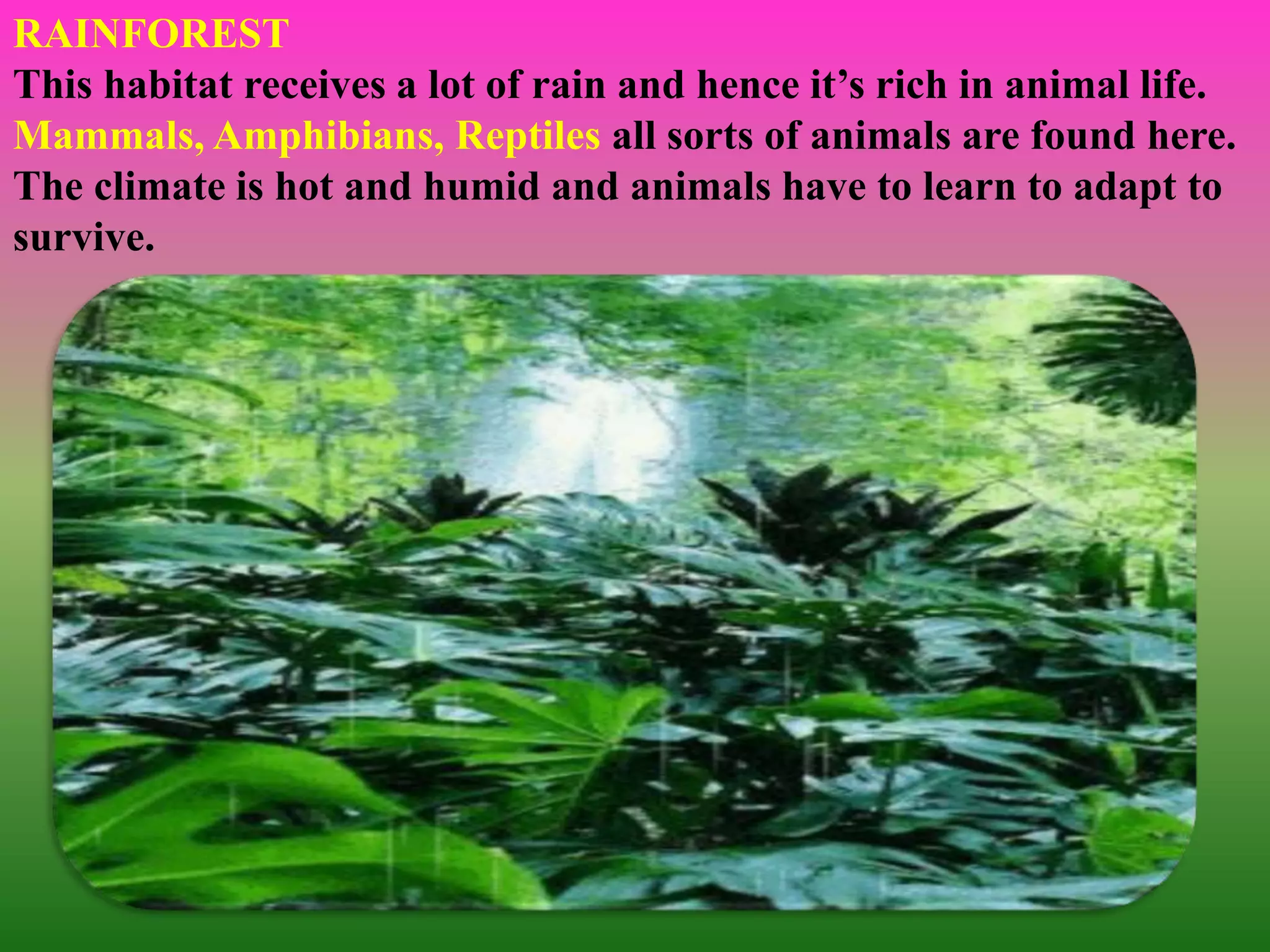 THE LIVING ORGANISMS — CHARACTERISTICS AND HABITATS TERRESTRIAL HABITAT ...