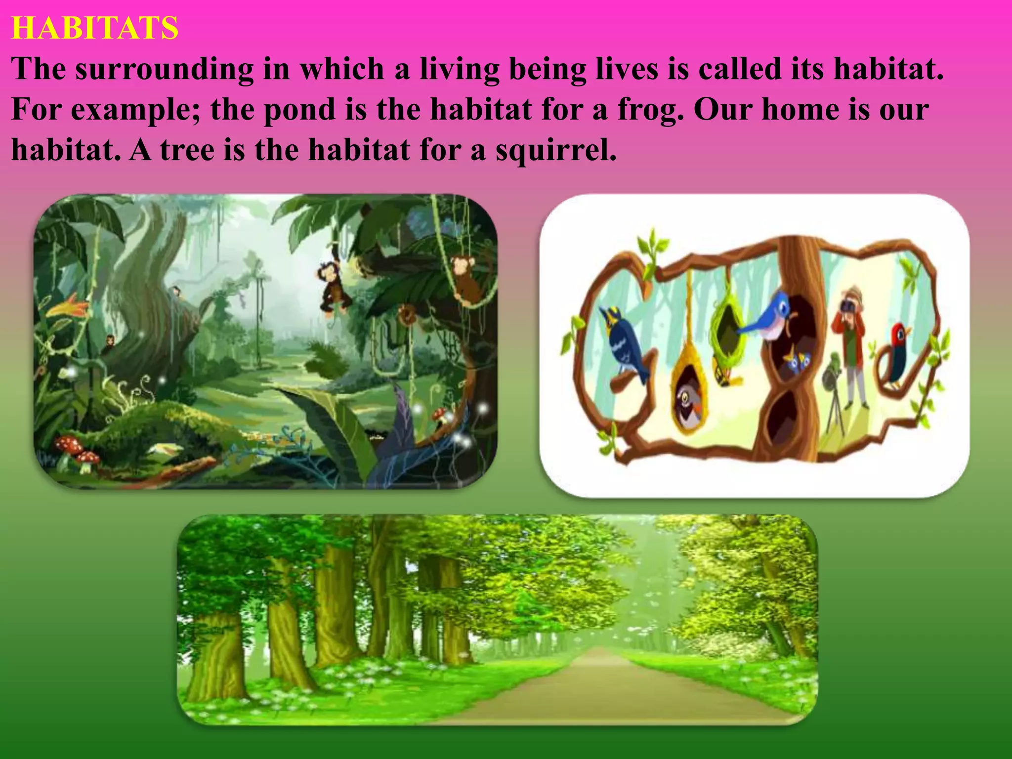 THE LIVING ORGANISMS — CHARACTERISTICS AND HABITATS TERRESTRIAL HABITAT ...