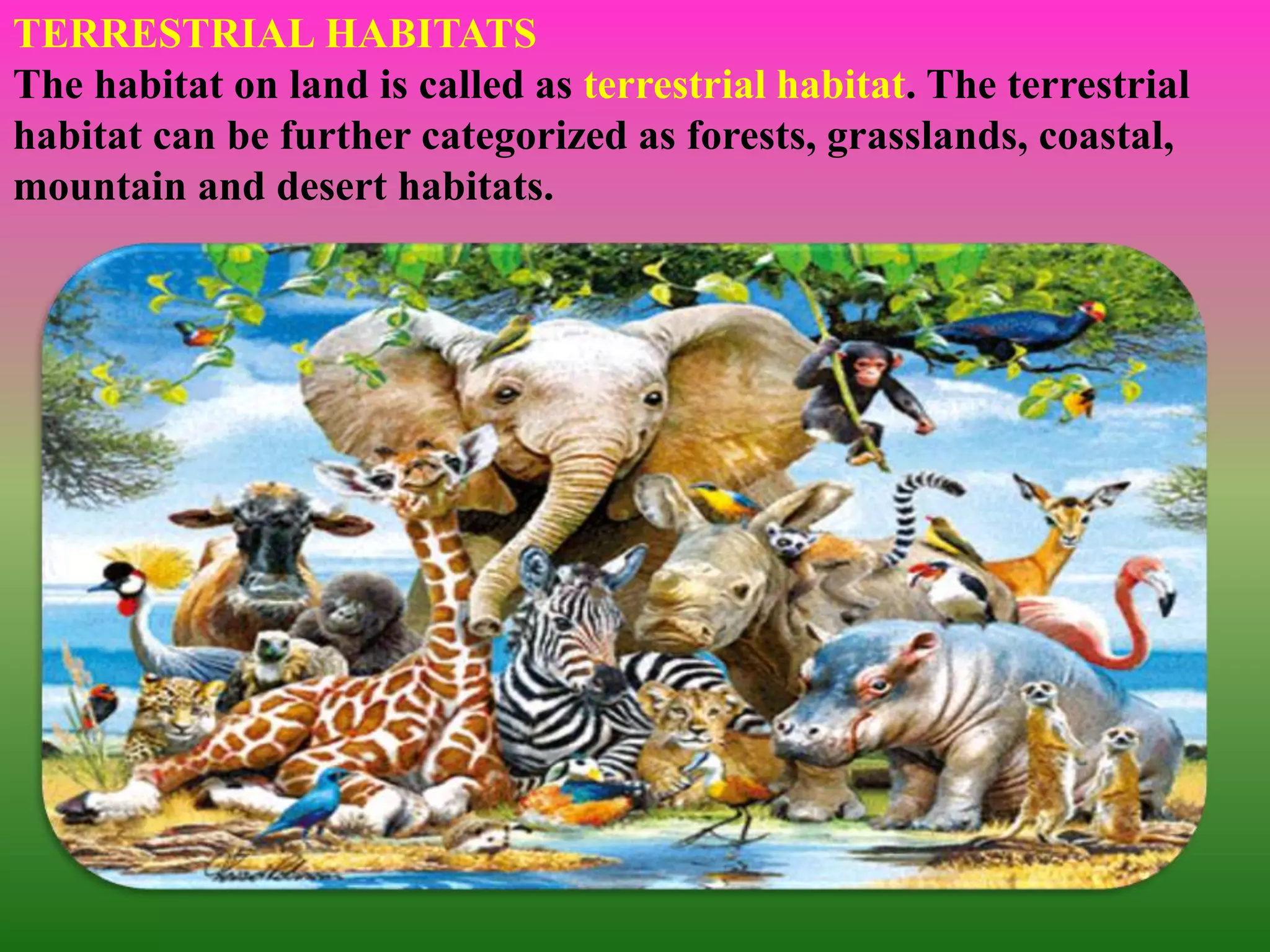 THE LIVING ORGANISMS — CHARACTERISTICS AND HABITATS TERRESTRIAL HABITAT ...