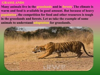 THE LIVING ORGANISMS — CHARACTERISTICS AND HABITATS TERRESTRIAL HABITAT ...