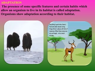 THE LIVING ORGANISMS — CHARACTERISTICS AND HABITATS TERRESTRIAL HABITAT ...