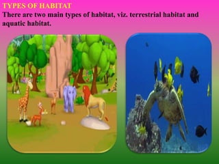THE LIVING ORGANISMS — CHARACTERISTICS AND HABITATS TERRESTRIAL HABITAT ...