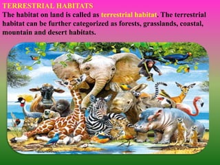 THE LIVING ORGANISMS — CHARACTERISTICS AND HABITATS TERRESTRIAL HABITAT ...