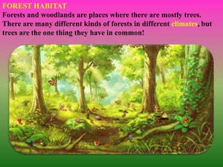 Terrestrial Habitat For Kids