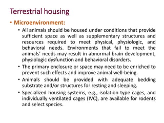 Terrestrial laboratory animals | PPTX
