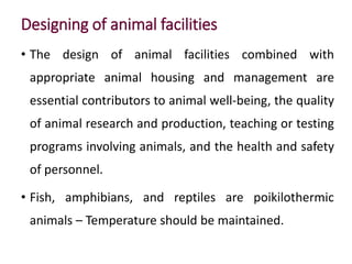 Terrestrial laboratory animals | PPTX