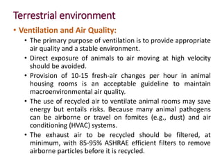 Terrestrial laboratory animals | PPTX