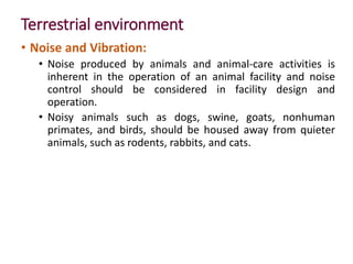 Terrestrial laboratory animals | PPTX
