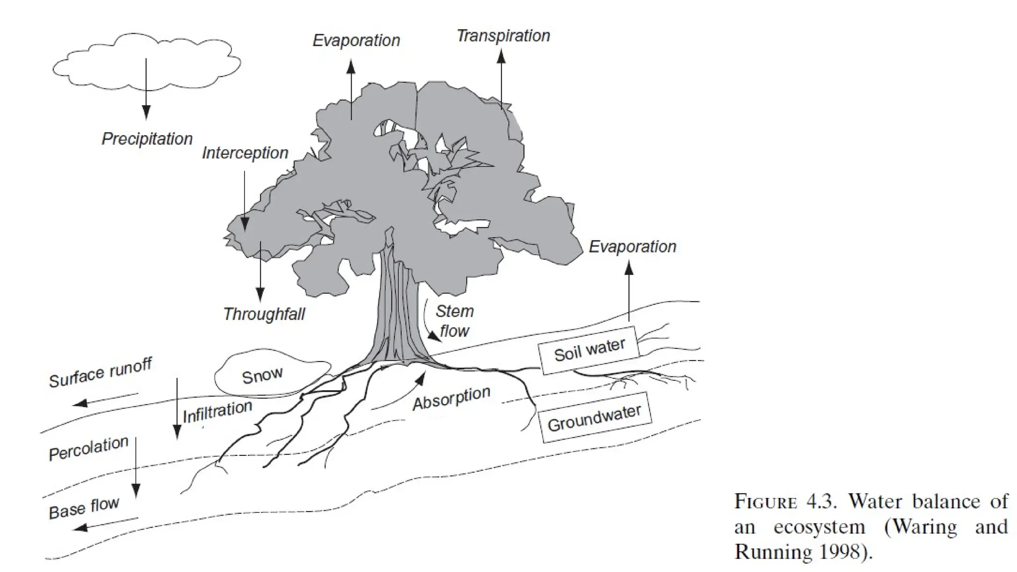 TERRESTRIAL WATER AND ENERGY BALANCE.pptx