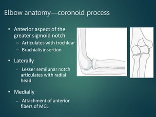 terribletriad-SMA.pptx