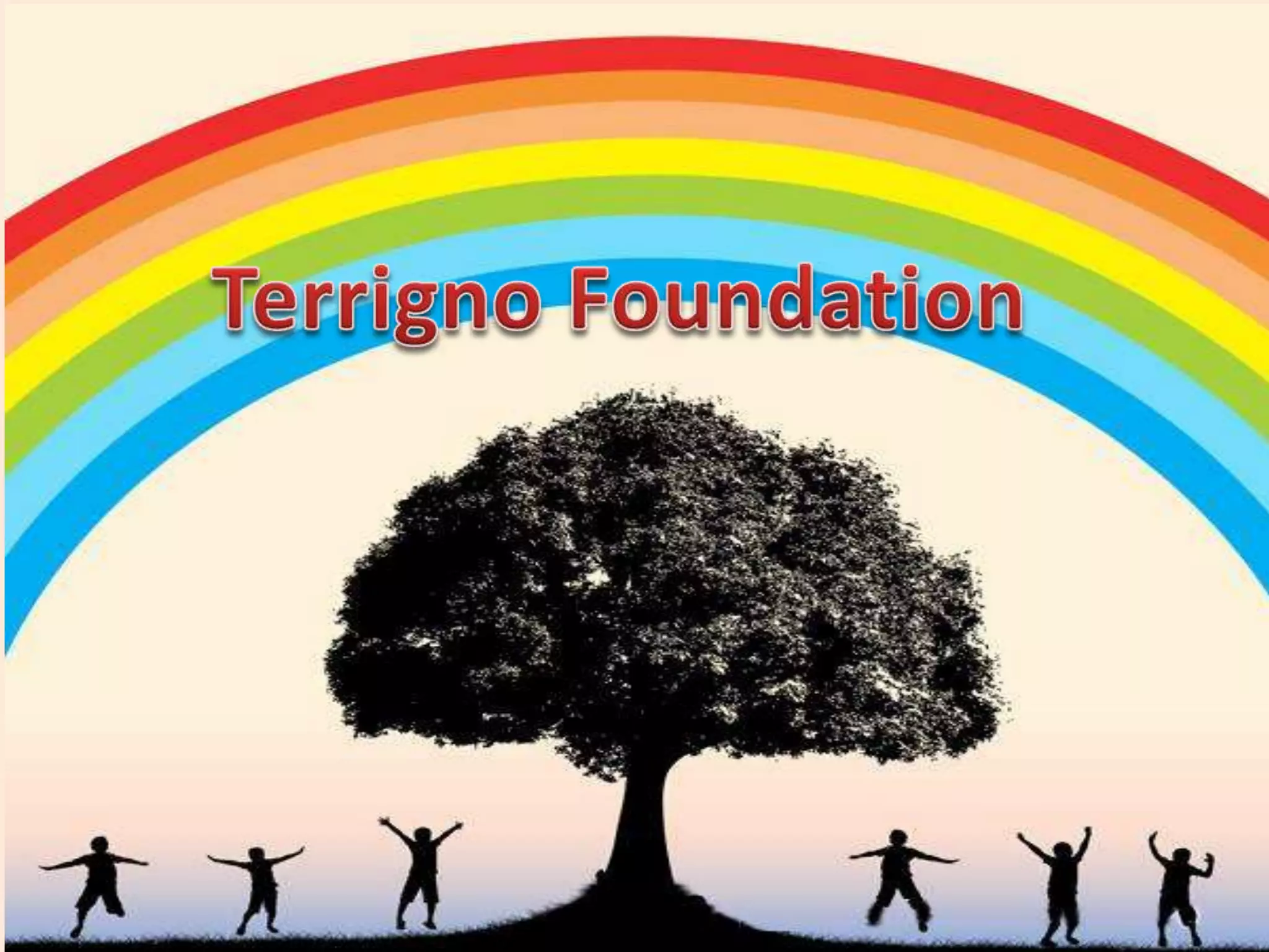 Michael Terrigno - Terrigno Foundation | PPTX