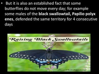 Territoiality in arthropoda | PPTX